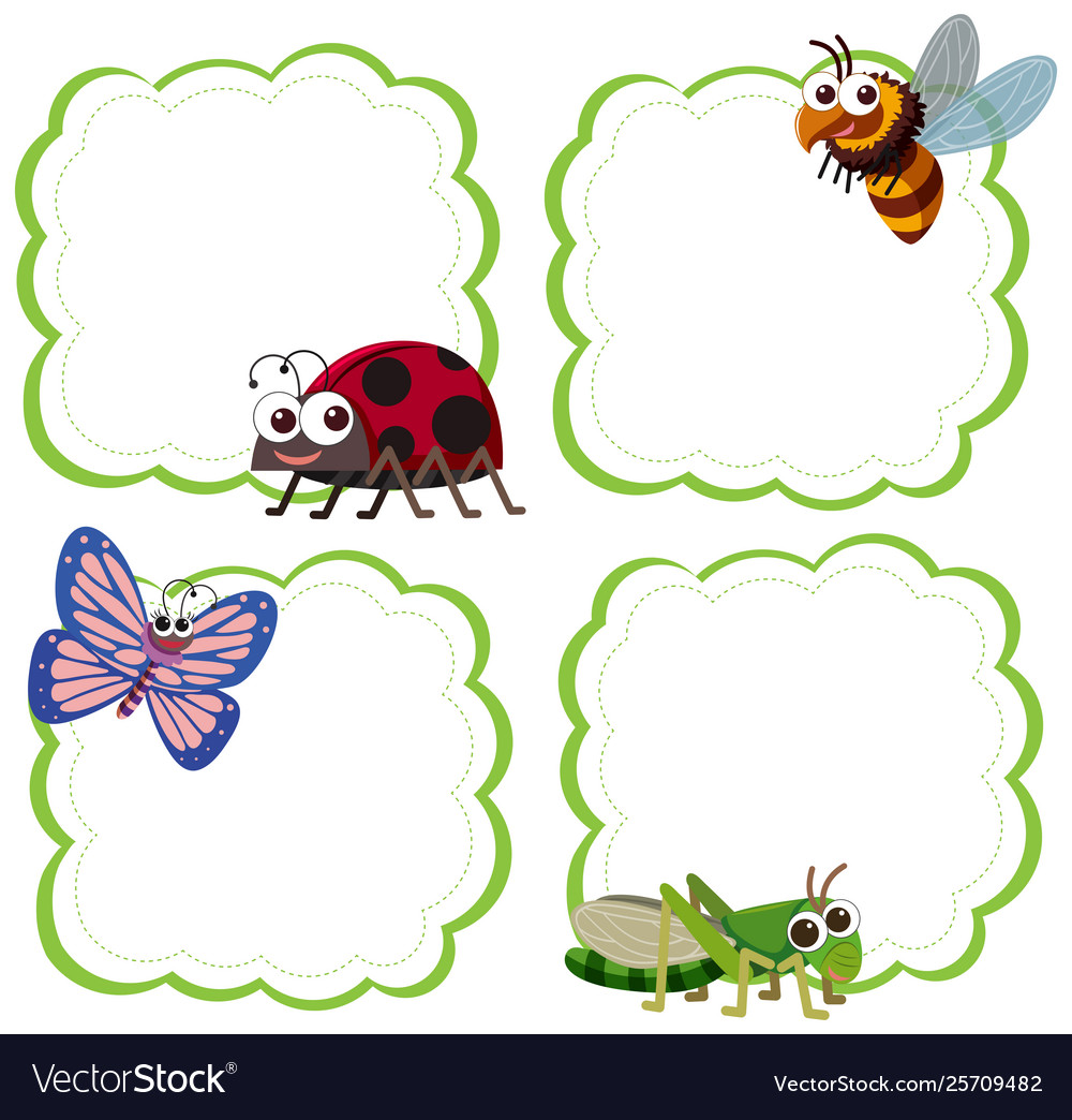 Set insect note template Royalty Free Vector Image