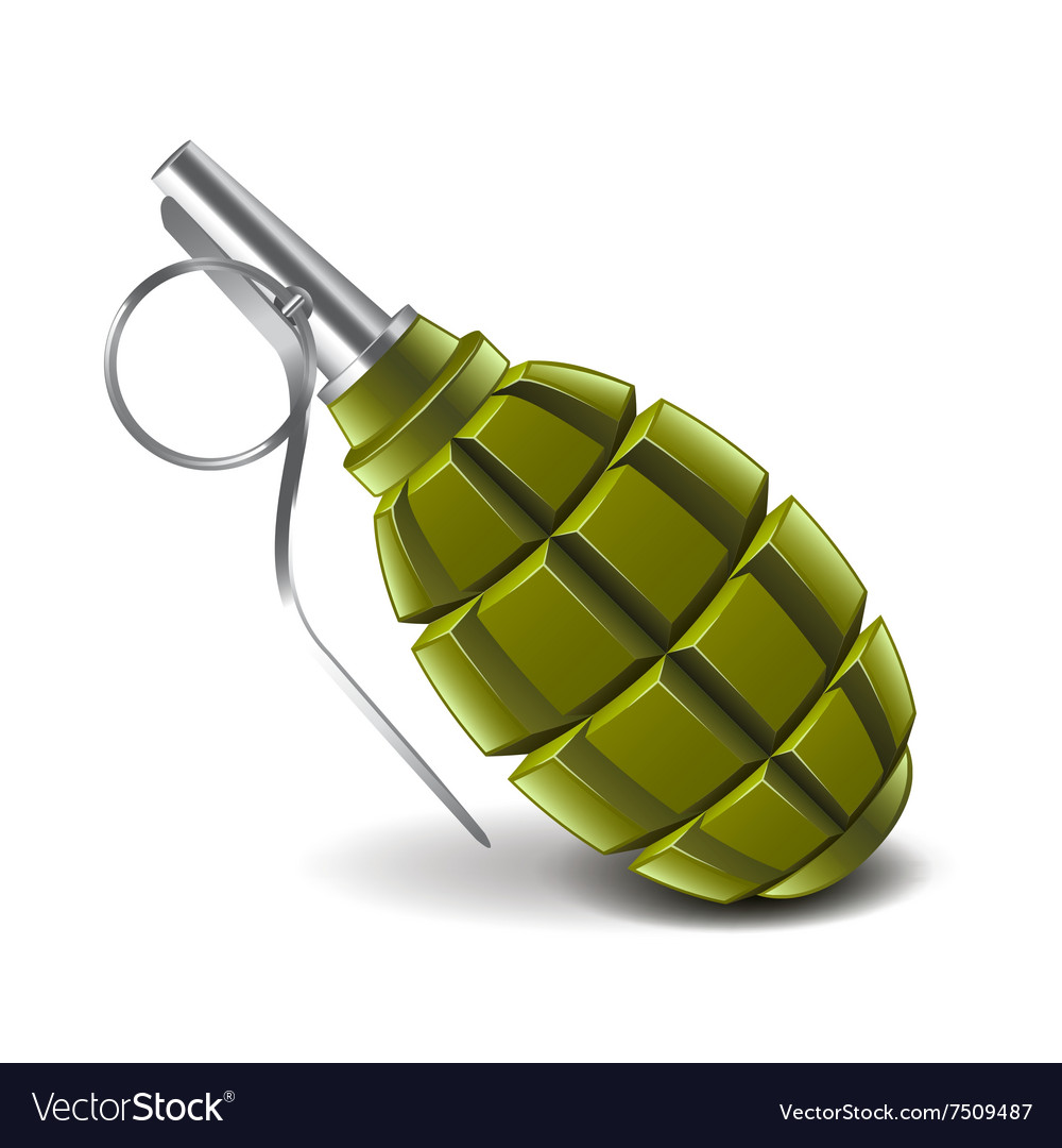 Grenade isolated on white Royalty Free Vector Image