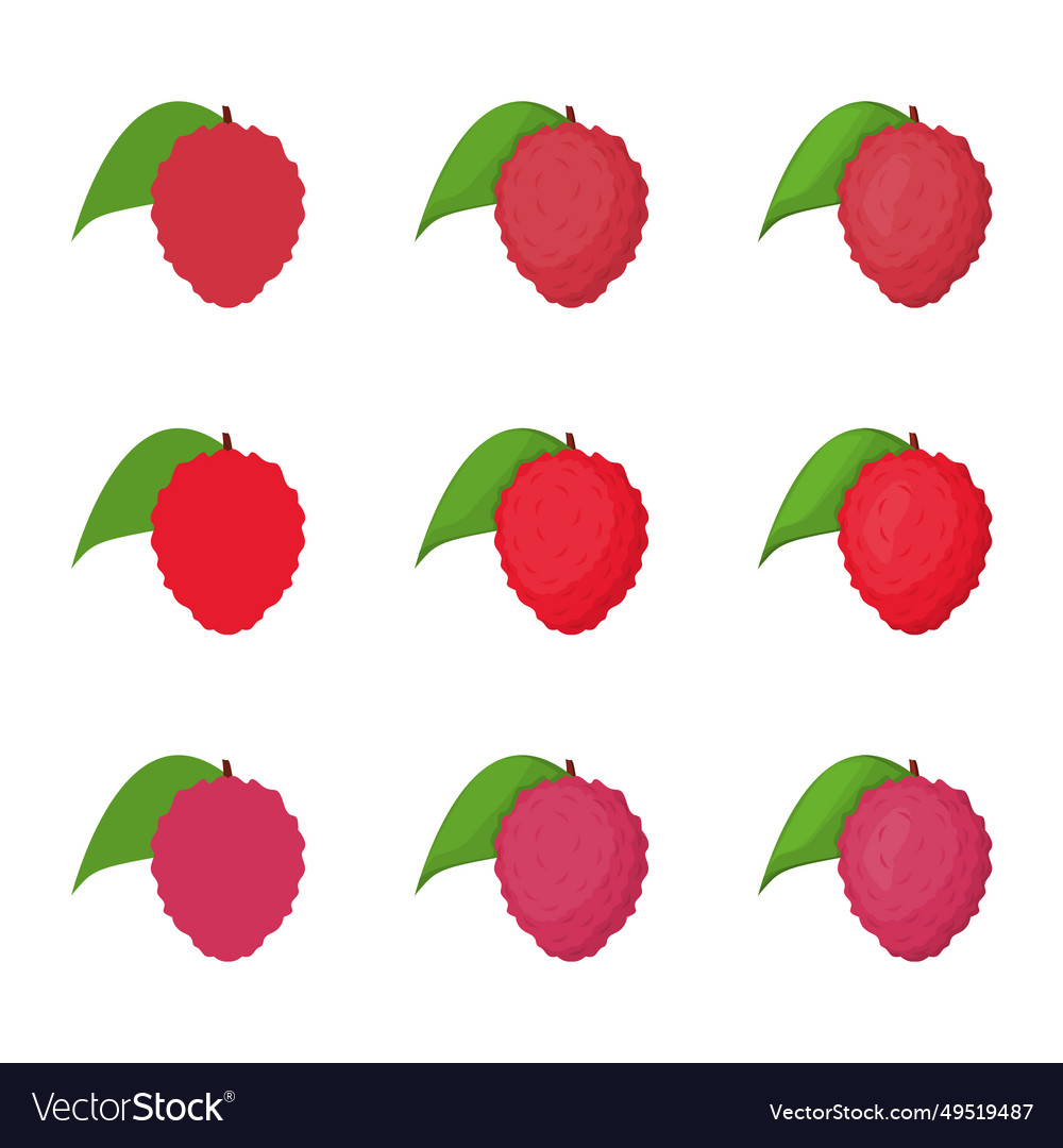 Lychee Royalty Free Vector Image - VectorStock