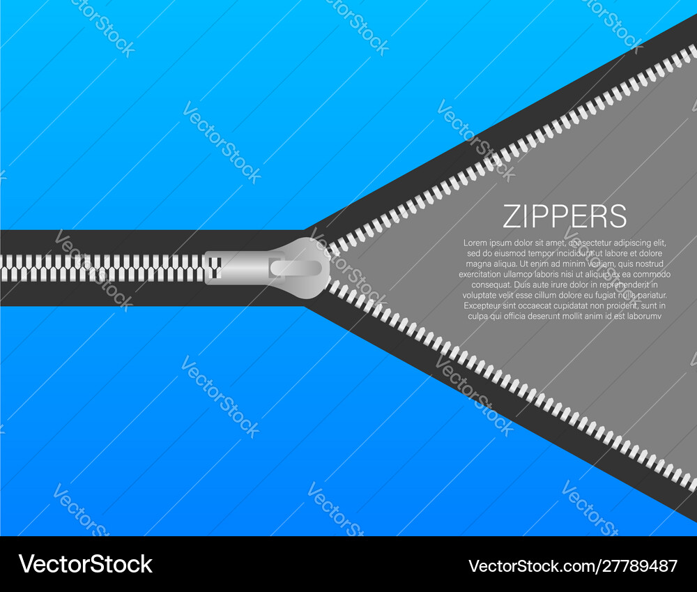 Sewing accessory zipper metallic open zippers Vector Image