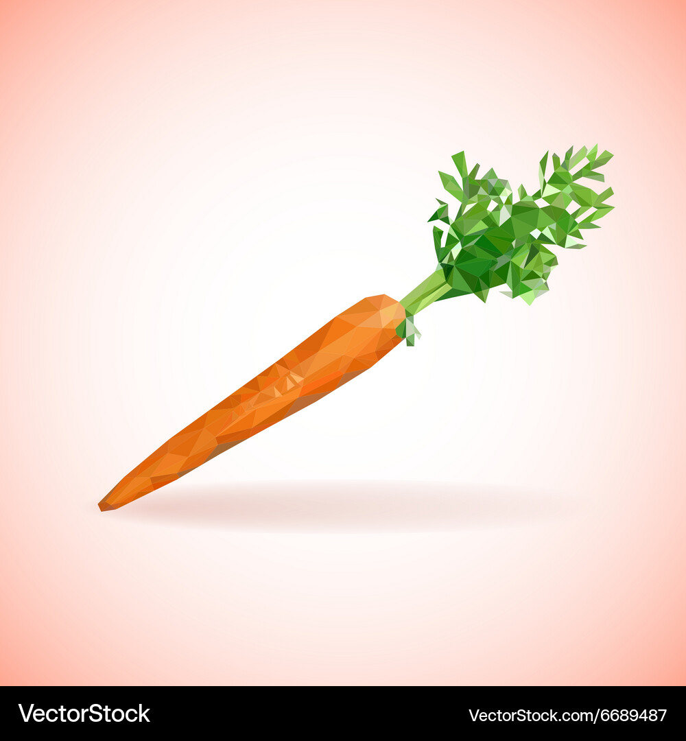 Unusual trendy poly style carrot isolated Vector Image