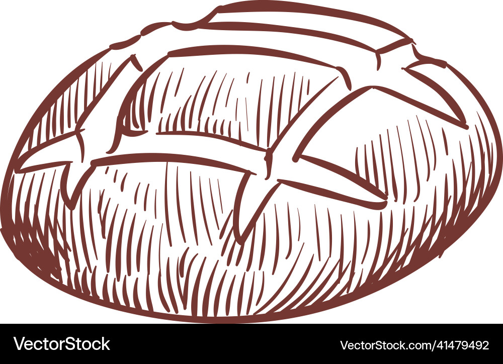Round bread sketch boule engraving bakery symbol Vector Image