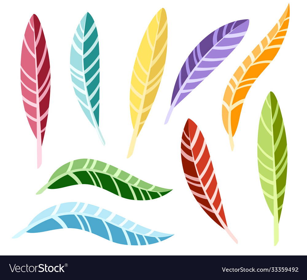 Set feathers colorful bird flat icon Royalty Free Vector