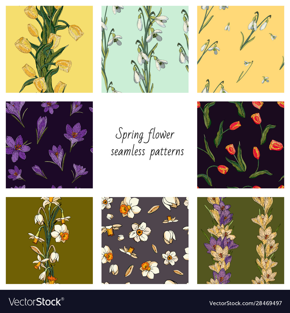 Collection 8 seamless color patterns Royalty Free Vector