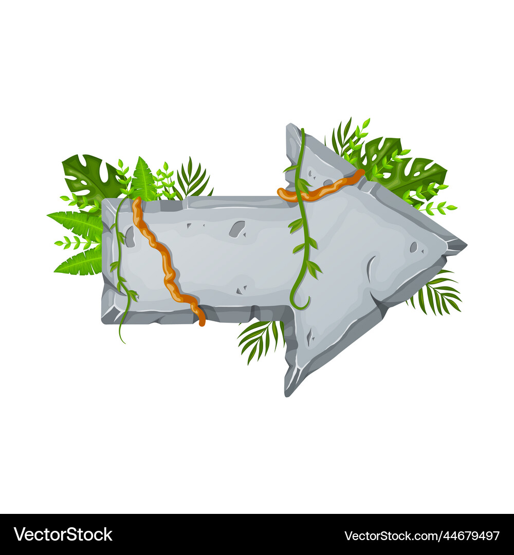 Jungle stone board with liana branches Royalty Free Vector