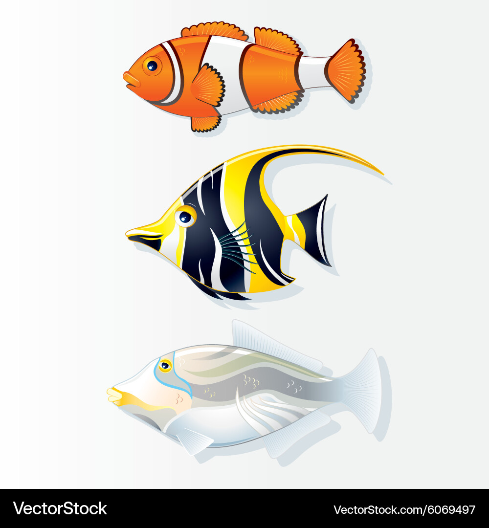 Tropical reef fishes collection Royalty Free Vector Image
