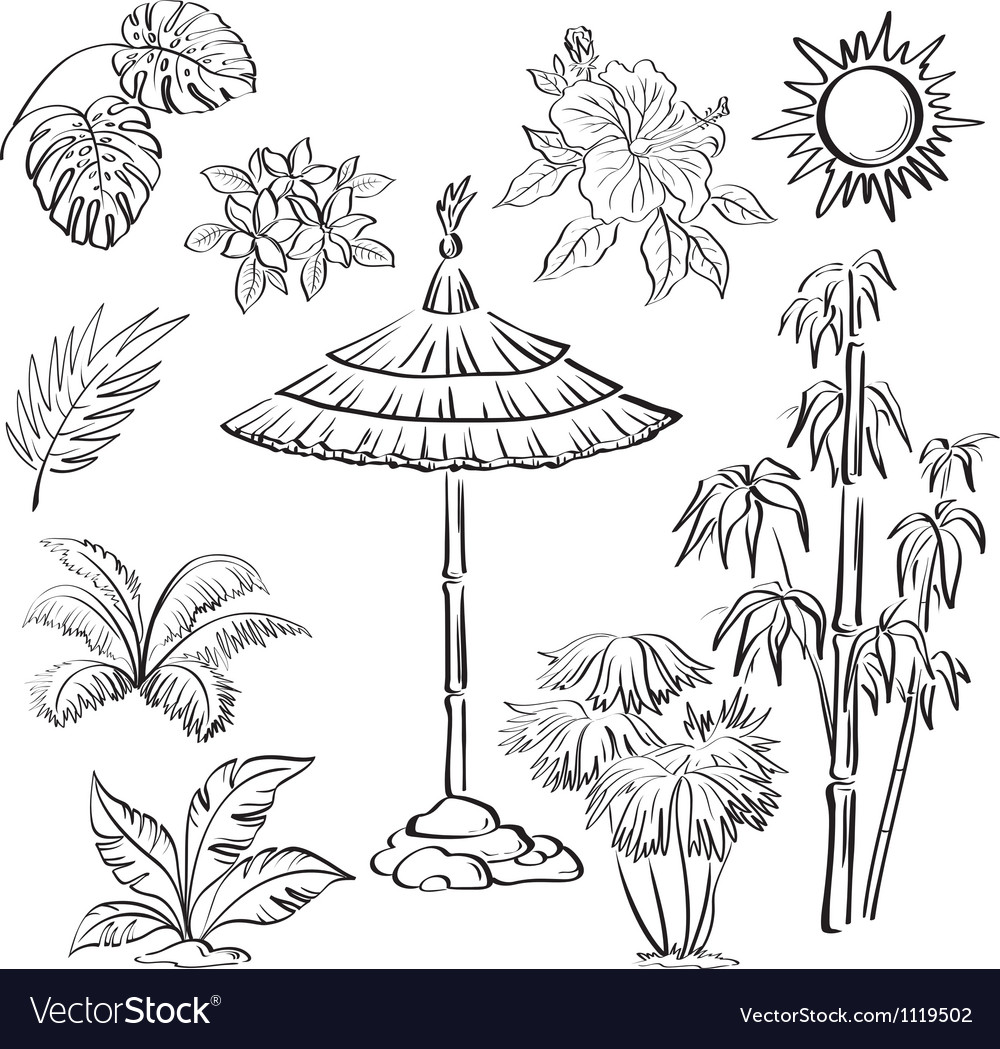 Exotic objects set outline Royalty Free Vector Image