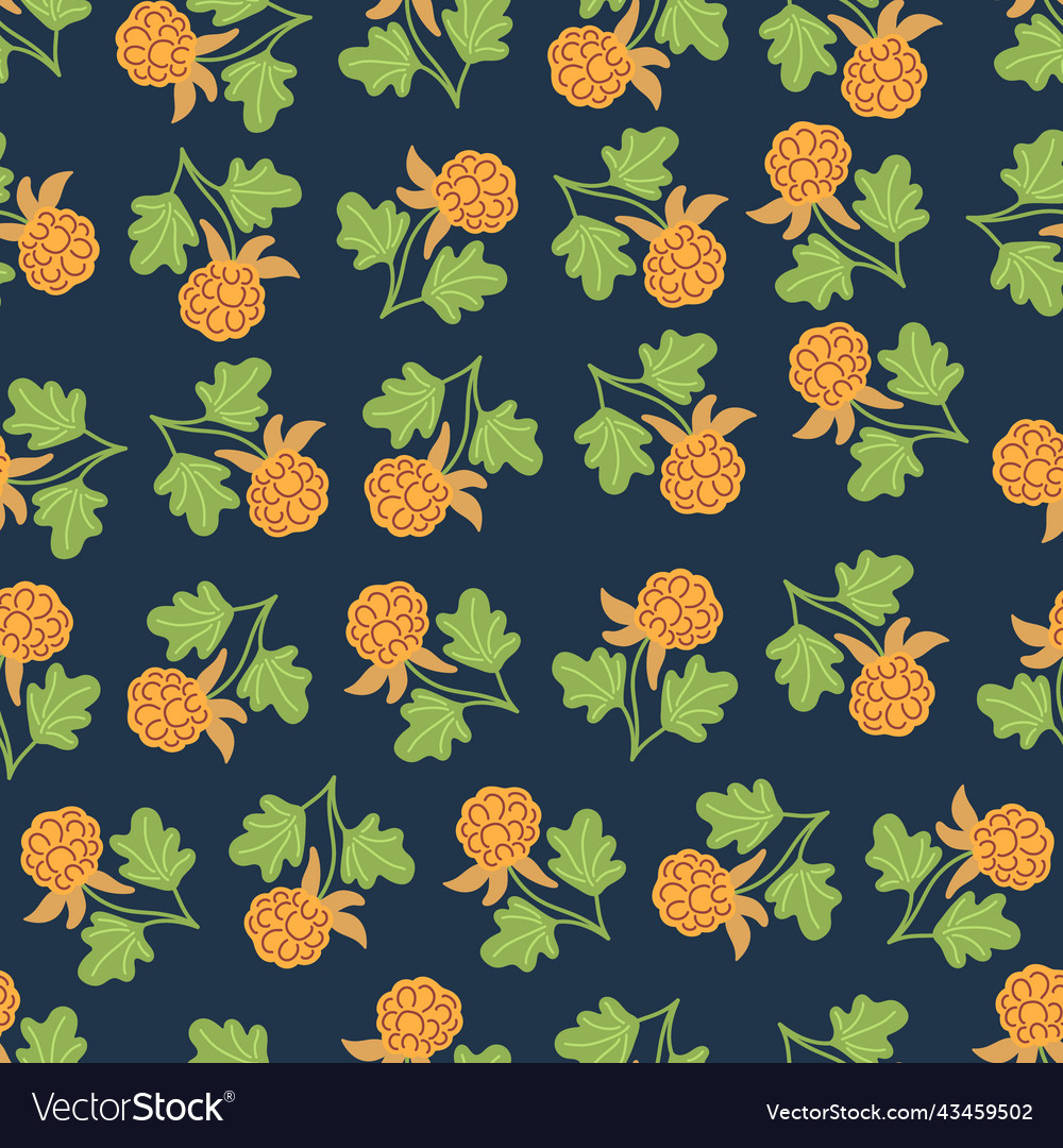 Hand drawn seamless pattern with cloudberry Vector Image