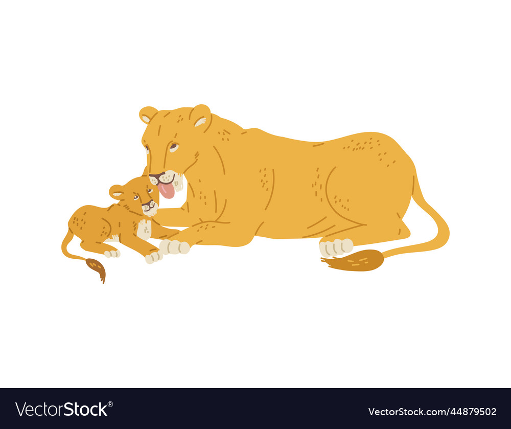 Mother lioness licking her little cub flat Vector Image