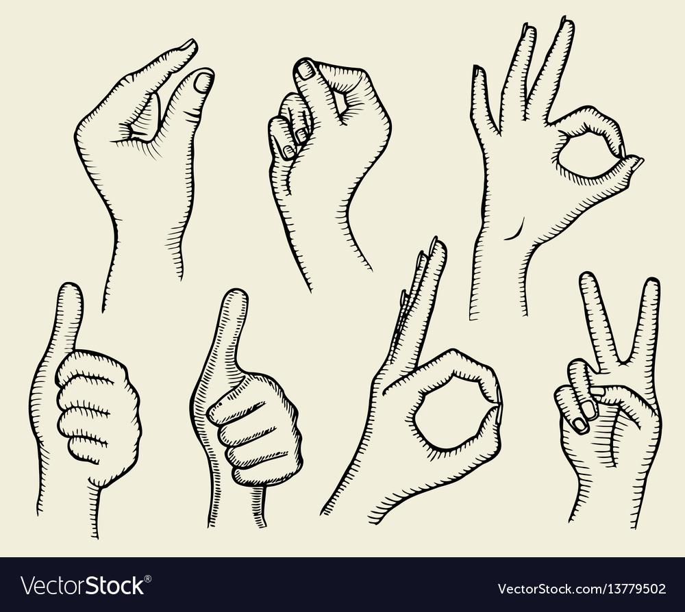 Set four hands Royalty Free Vector Image - VectorStock