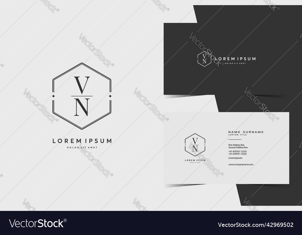 Simple hexagon vn monogram logo icon modern Vector Image