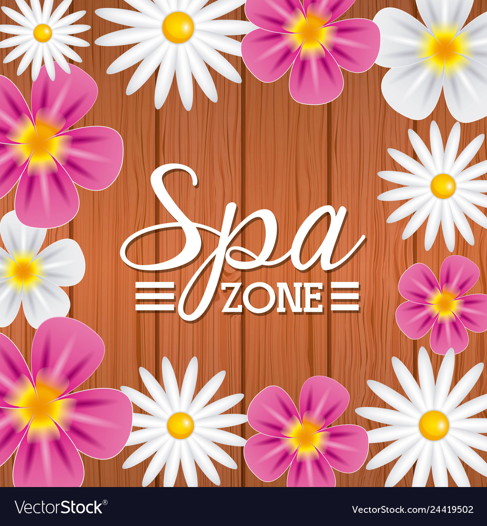 Spa zone Royalty Free Vector Image - VectorStock