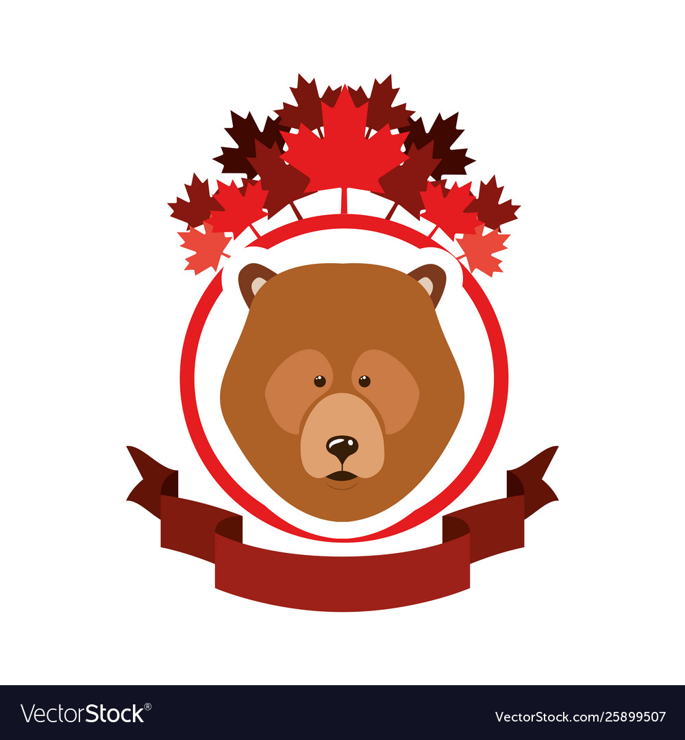 Bear forest animal canada design Royalty Free Vector Image