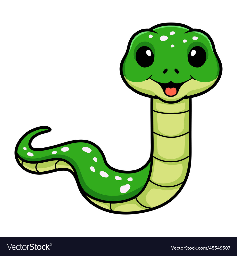 Cute green tree python cartoon Royalty Free Vector Image