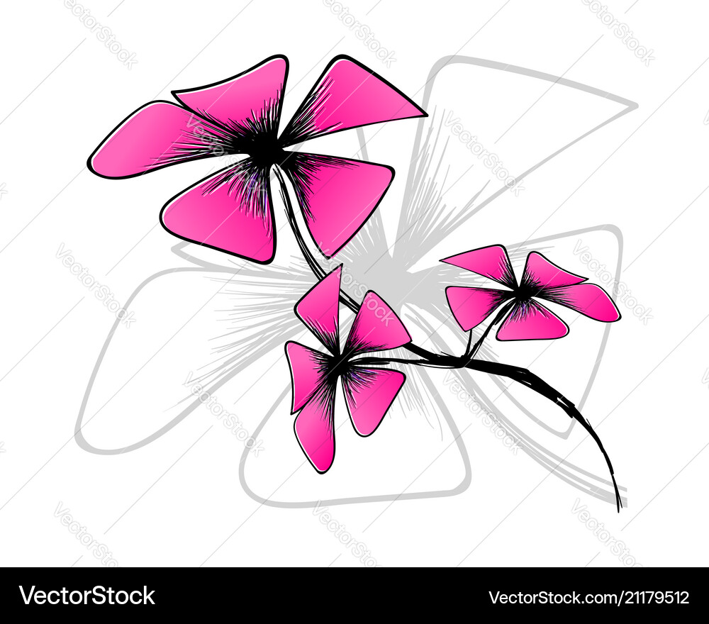 Blossom bloom on white backgroundpink flower draw Vector Image