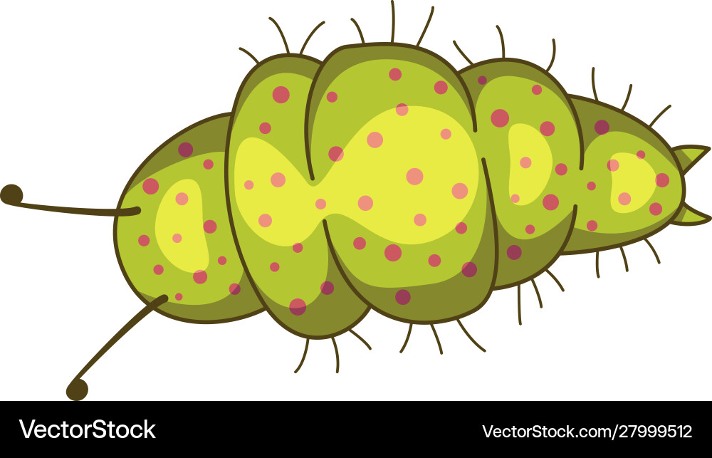 Caterpillar insect icon green nature Royalty Free Vector