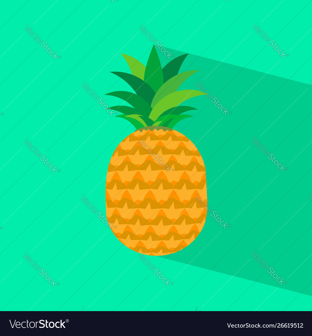 Pineapple Royalty Free Vector Image - VectorStock