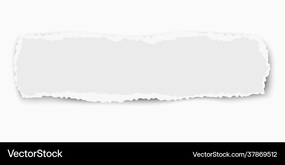 White oblong paper tear with soft shadow isolated Vector Image