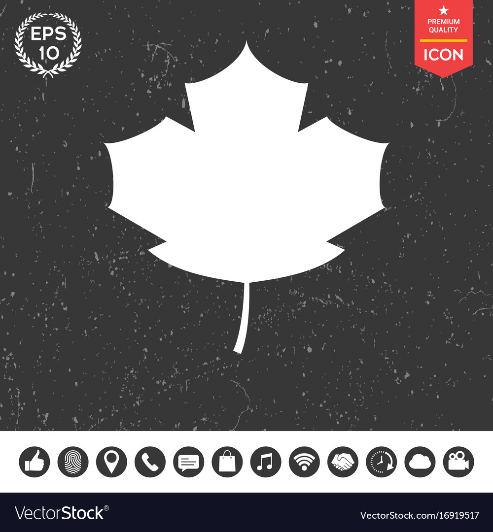 Maple leaf icon Royalty Free Vector Image - VectorStock