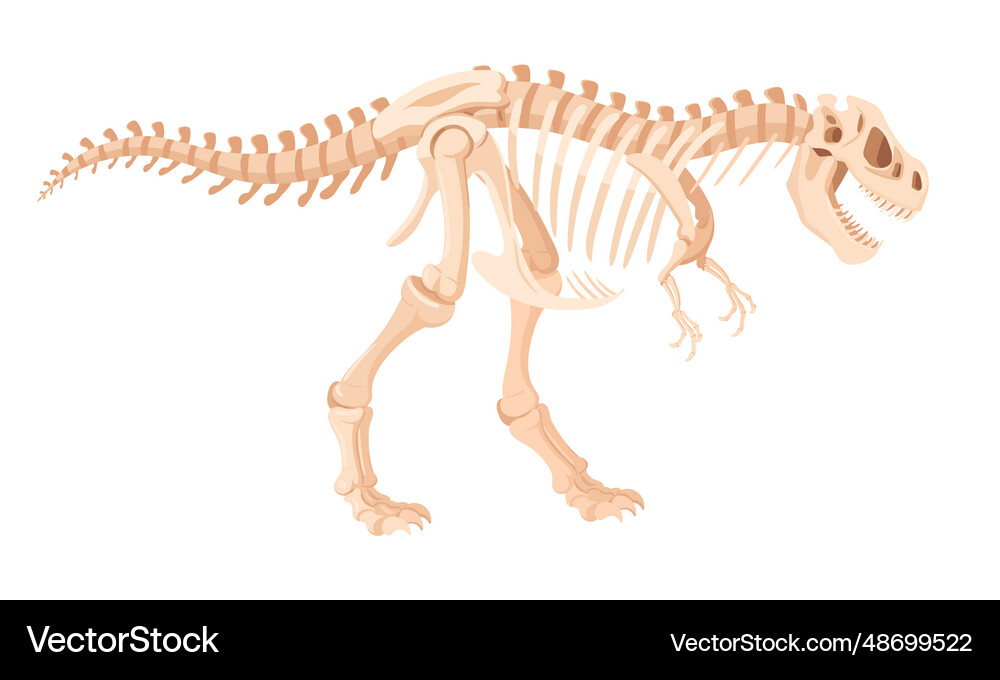 Dino skeleton cartoon archaeological dinosaur Vector Image