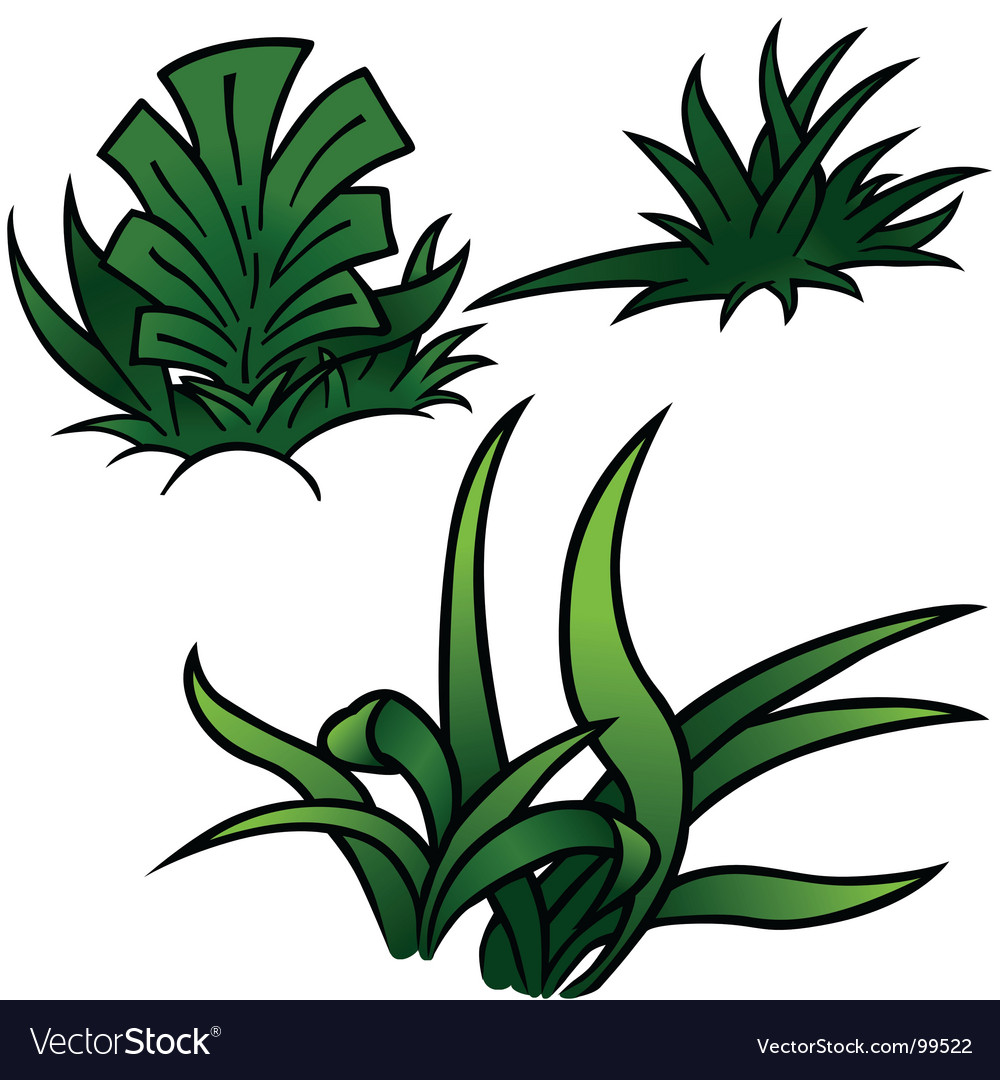 Grass set Royalty Free Vector Image - VectorStock