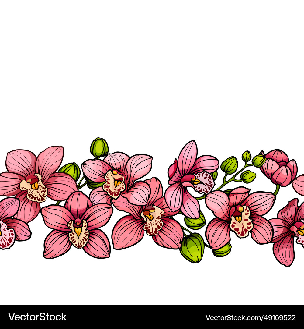 Horizontal border seamless pattern of pink orchid Vector Image