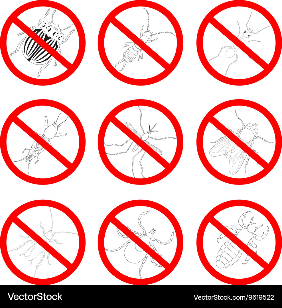 Pest and insect control icons set tick Royalty Free Vector
