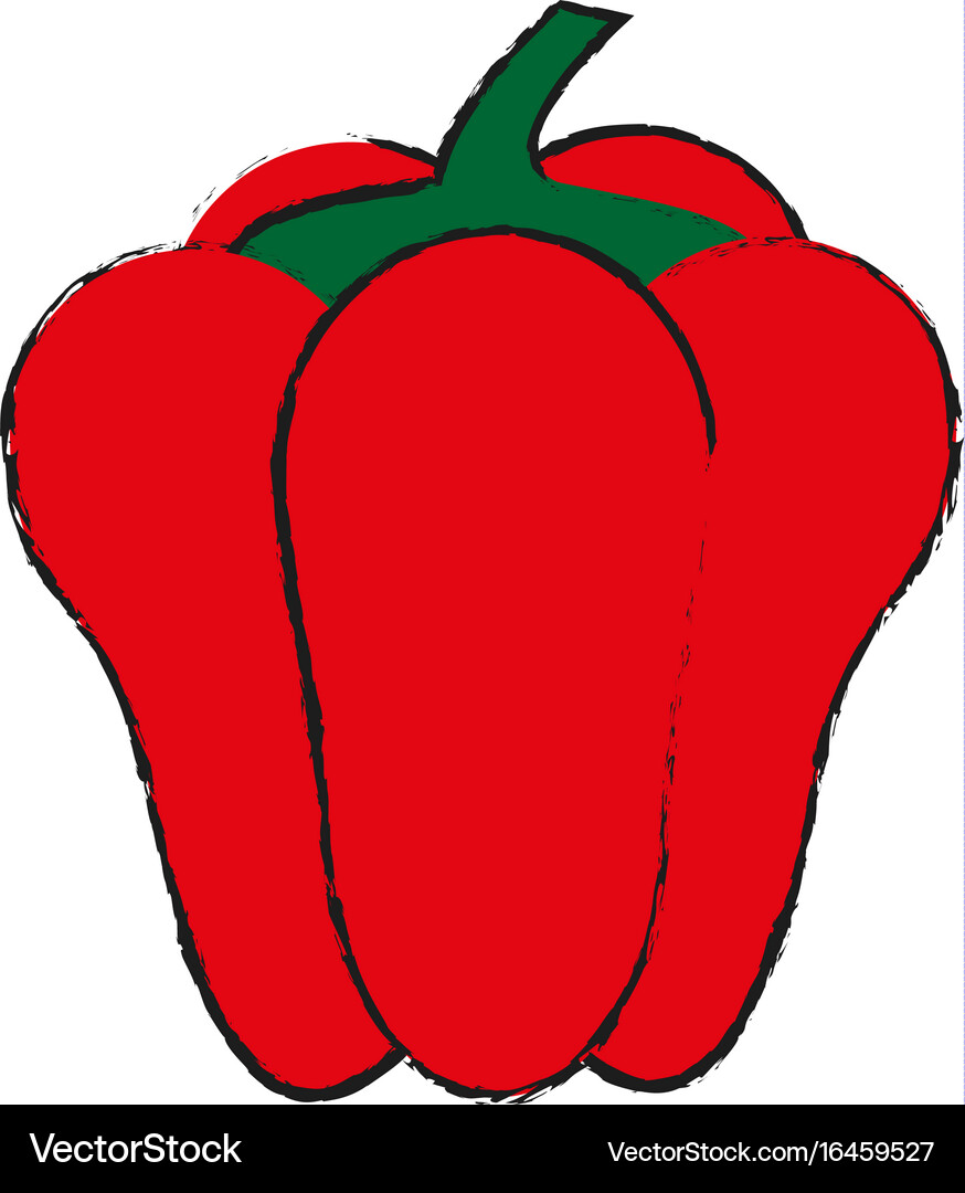 Pepper Royalty Free Vector Image - VectorStock