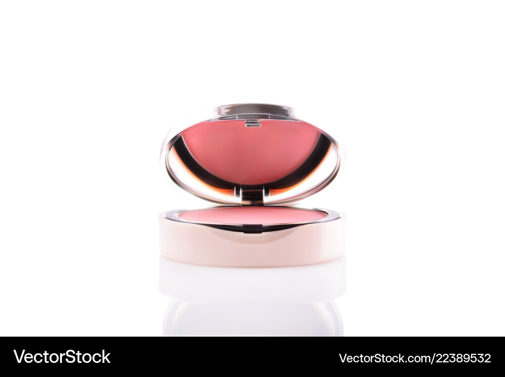 Face cosmetic makeup powder isolated on Royalty Free Vector