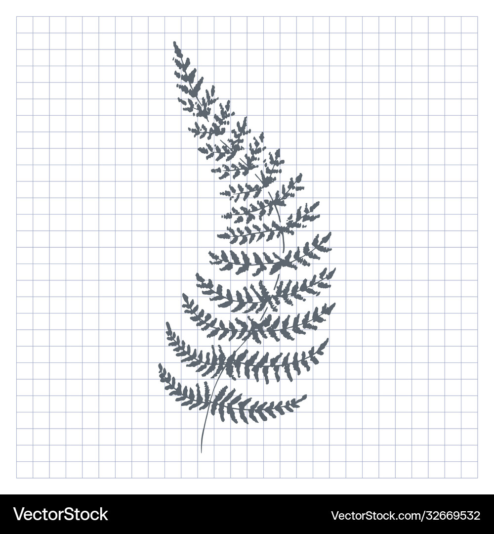 Sketch fern single hand-drawn branch Royalty Free Vector
