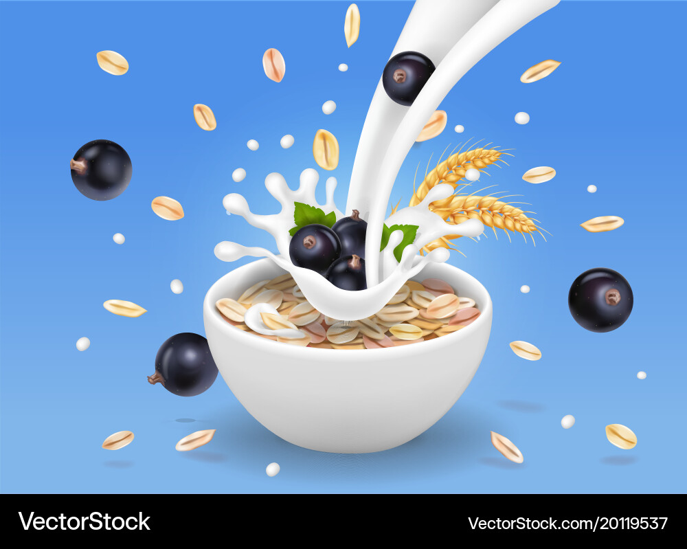 Oats in bowl with black currants Royalty Free Vector Image