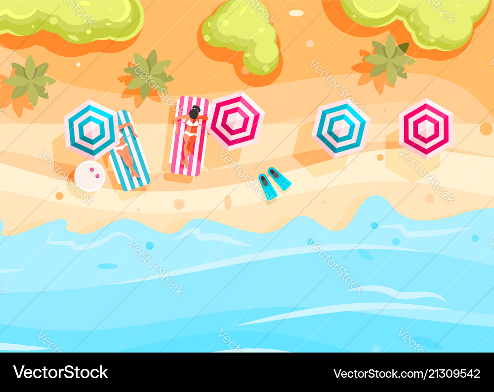 People swim and sunbathe Royalty Free Vector Image