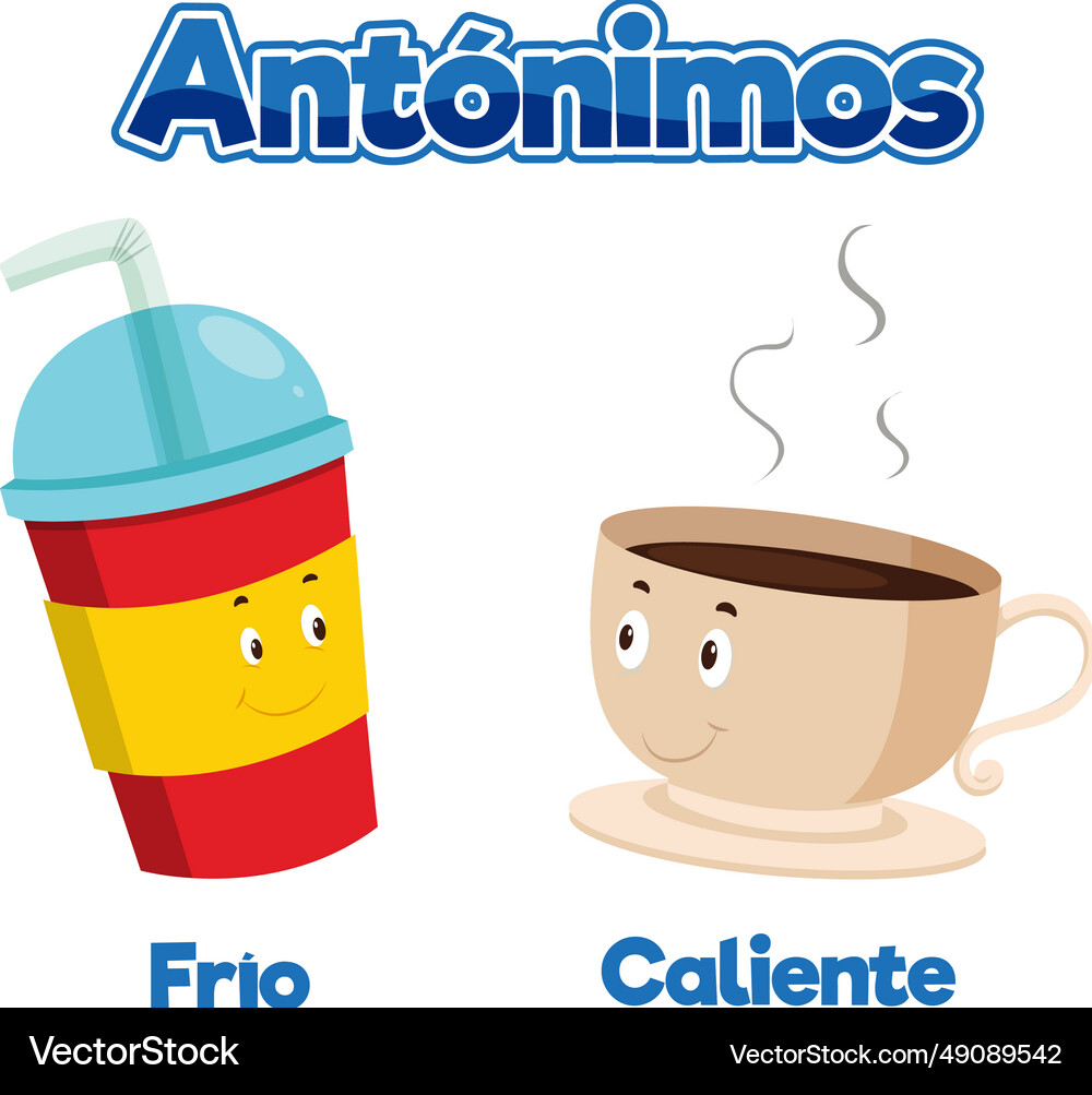 Spanish language education frio and caliente Vector Image