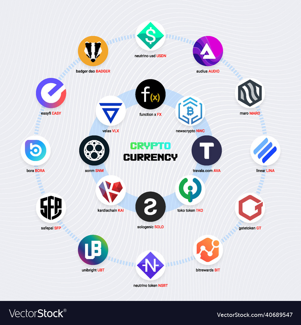 Crypto currency coins digital payment system Vector Image