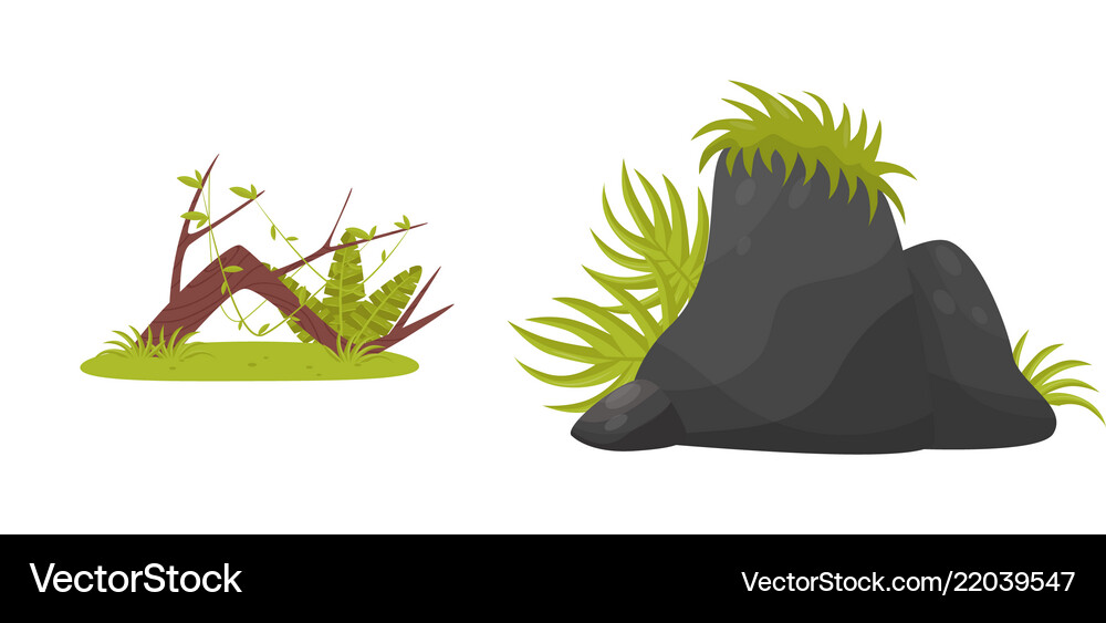 Trunk of old broken tree and tropical plants Vector Image