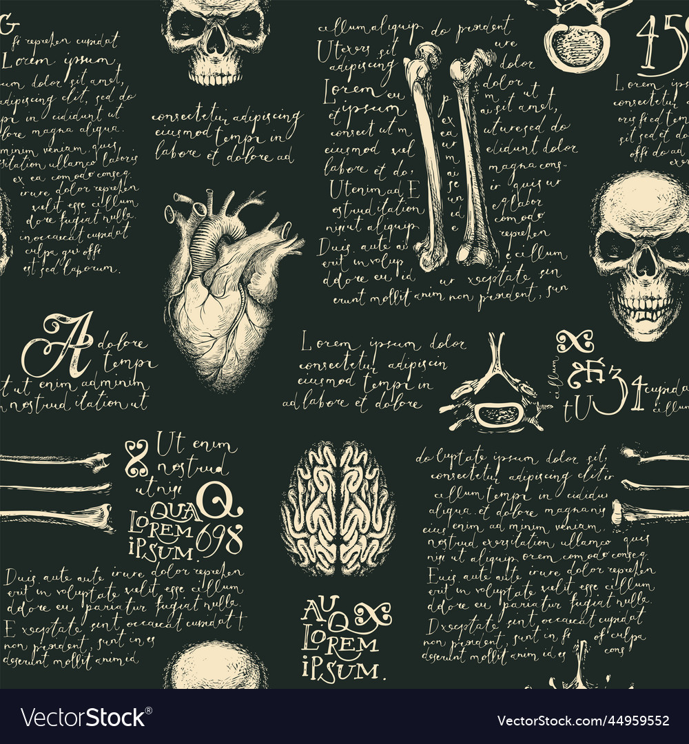 Anatomy seamless pattern with hand-drawn human Vector Image