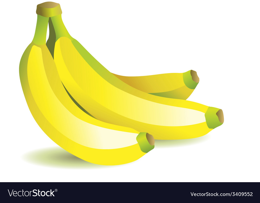 Banana Bunch Vector