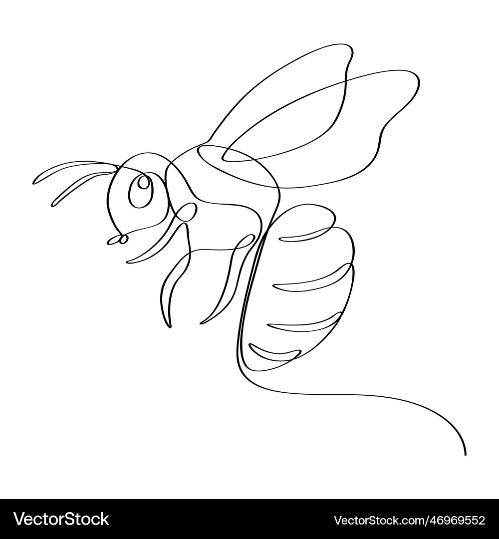 Hand-drawn honey bee continues line art Royalty Free Vector