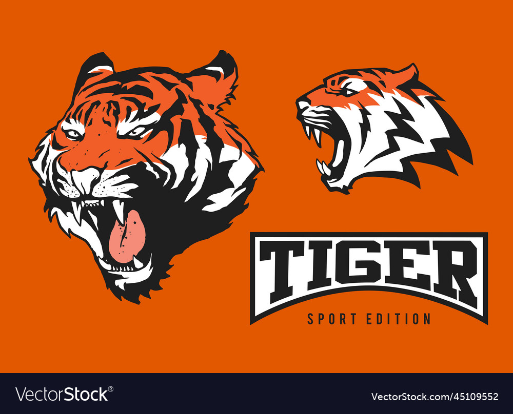 Tiger element design Royalty Free Vector Image