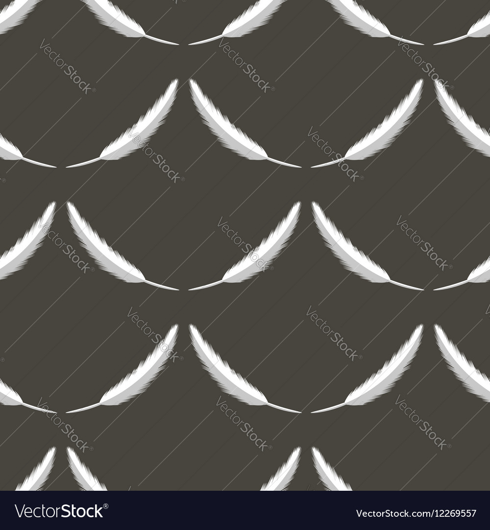 Feather seamless pattern Royalty Free Vector Image