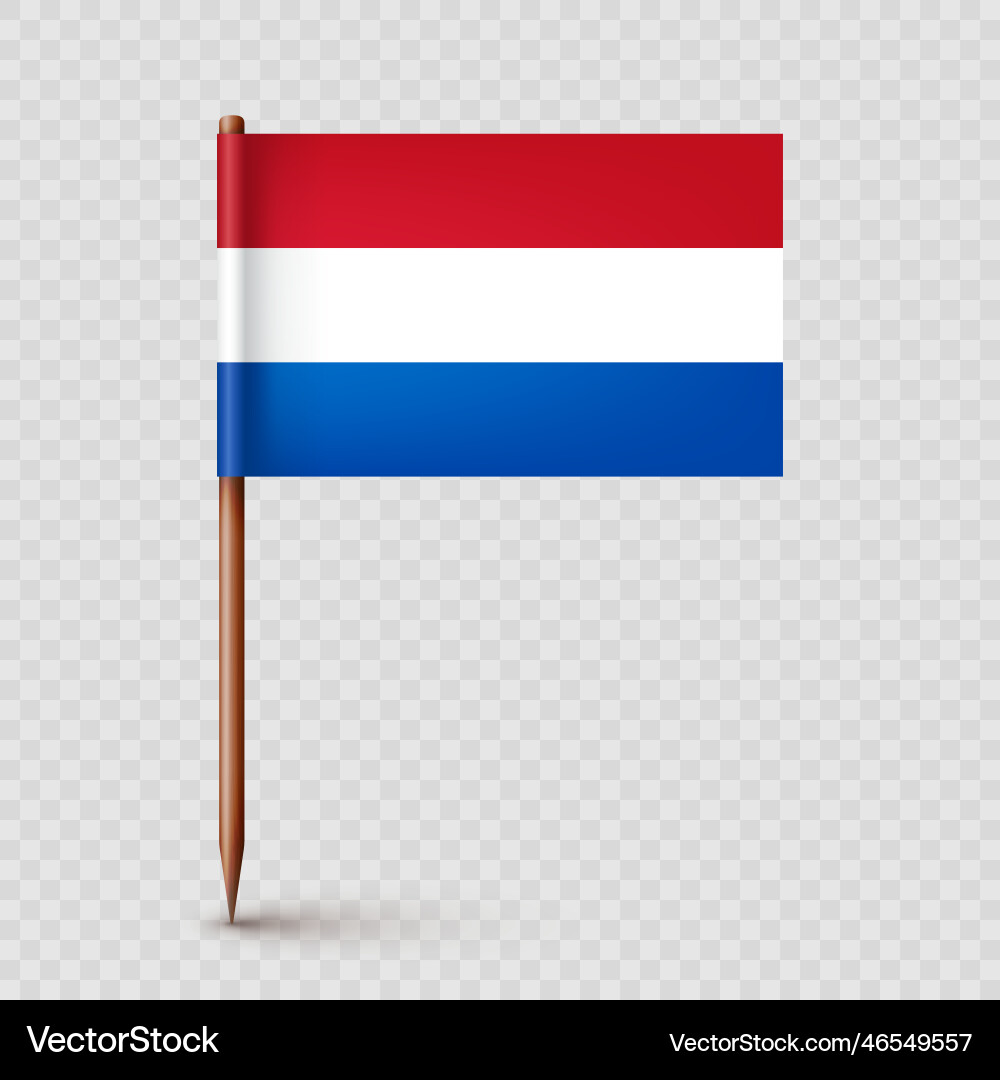 Realistic dutch toothpick flag souvenir from Vector Image