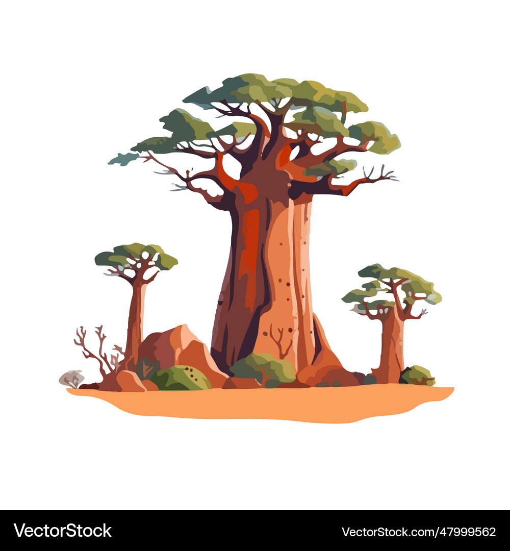 Tree of baobab grandidier typical Royalty Free Vector Image