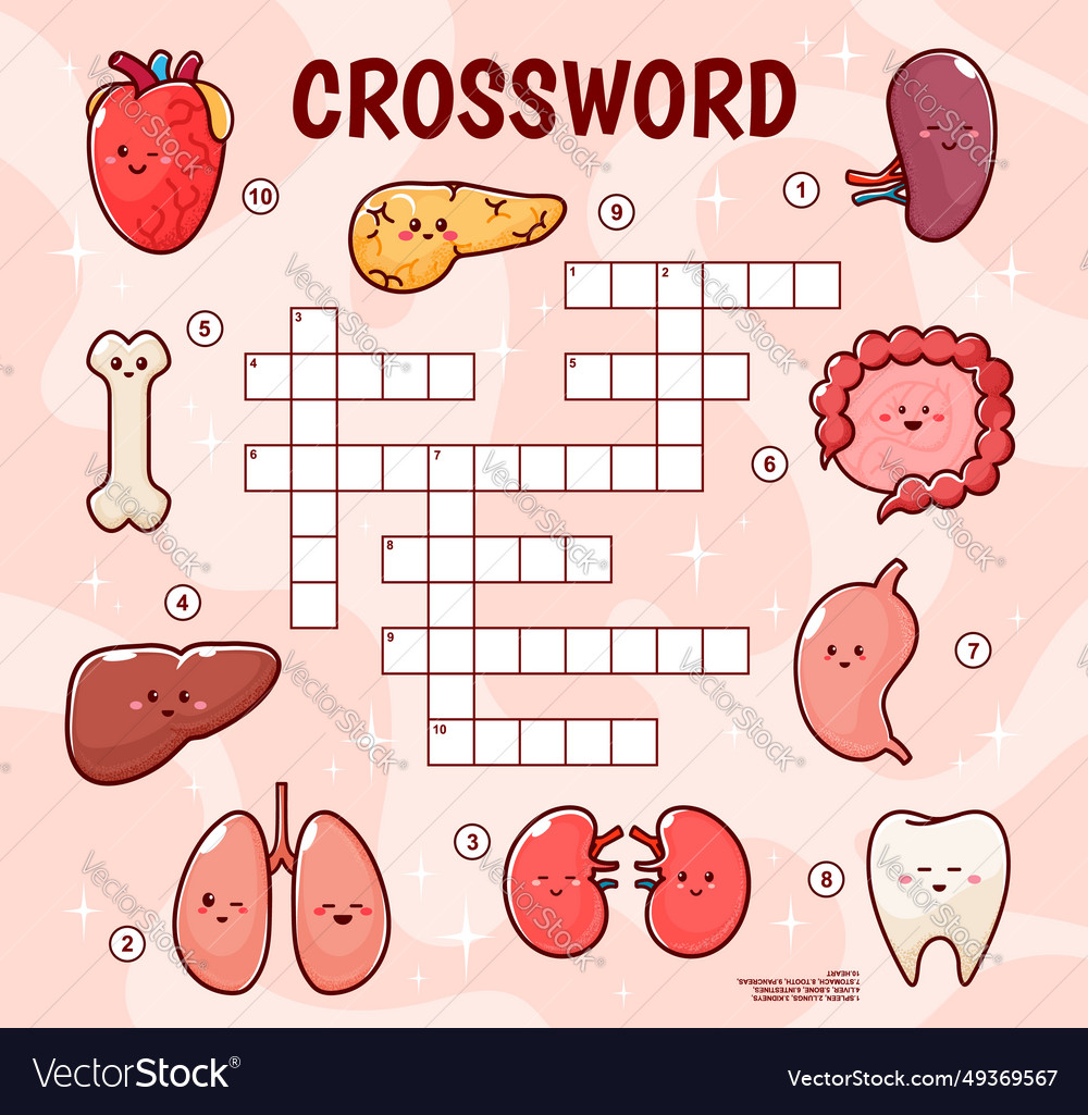 Crossword quiz game with human organs characters Vector Image