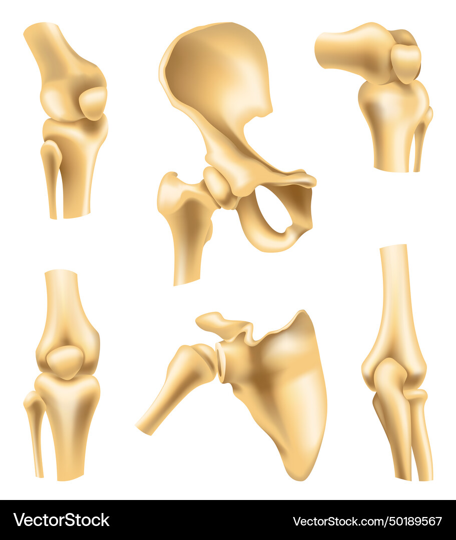 Human joints icons for orthopedics Royalty Free Vector Image