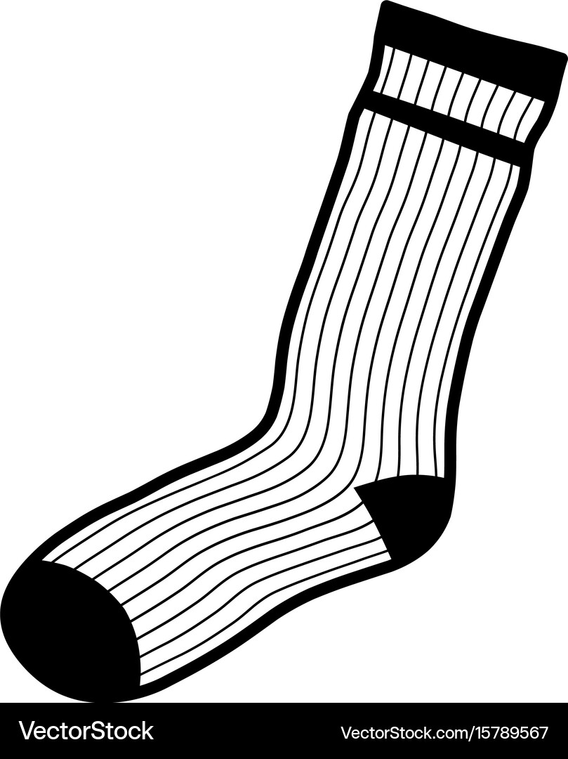 Socks clothing for feet Royalty Free Vector Image