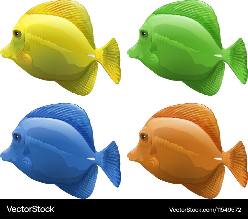 Four different colors of fish Royalty Free Vector Image