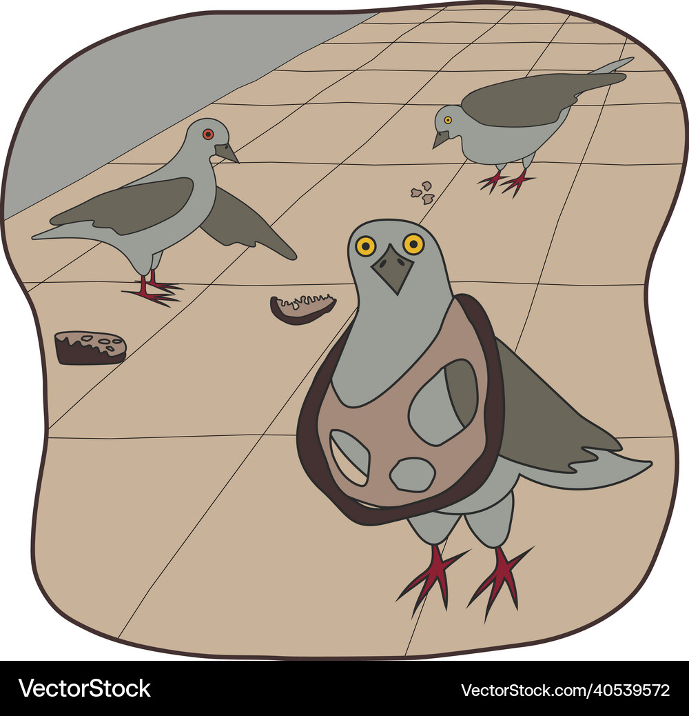 Grey and beige funny pigeons playing with bread Vector Image