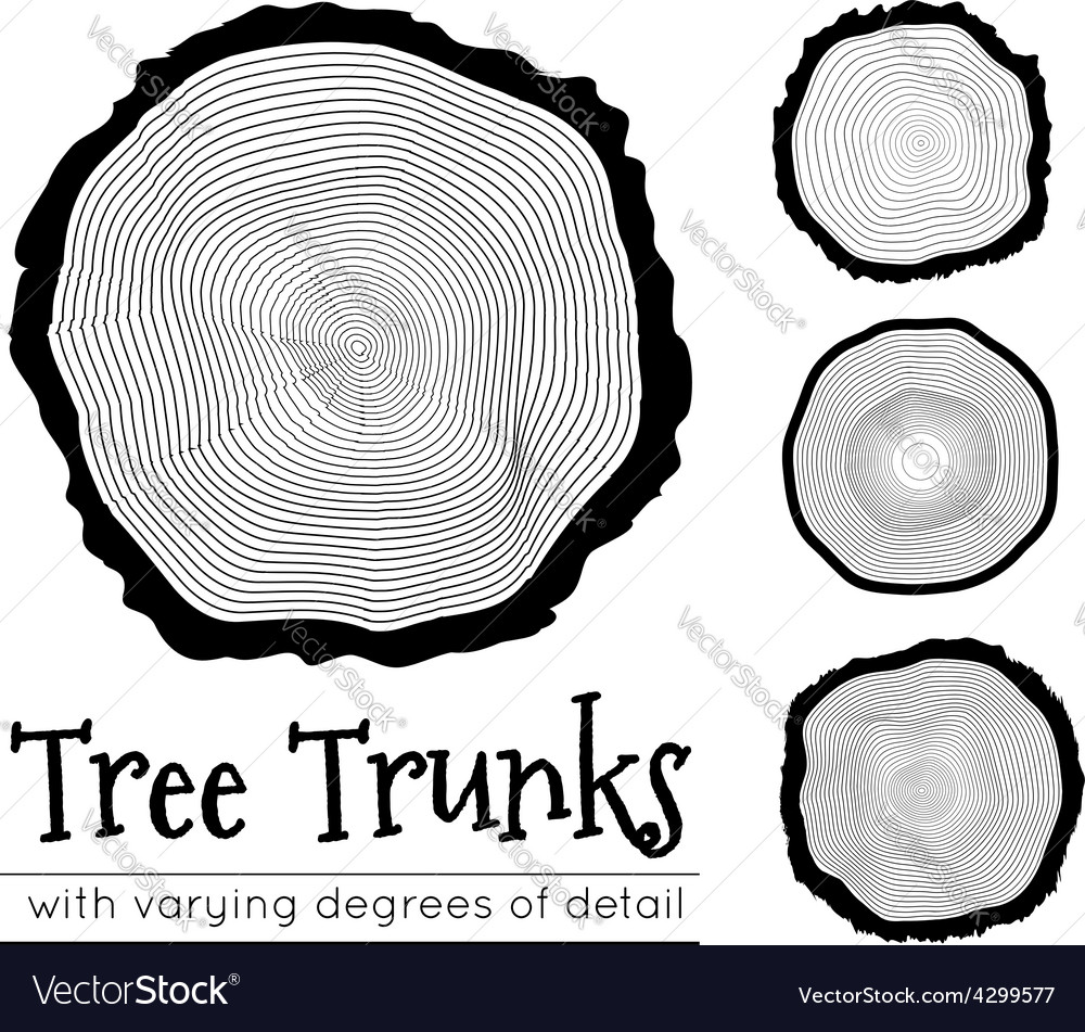 Cross section trunk Royalty Free Vector Image - VectorStock