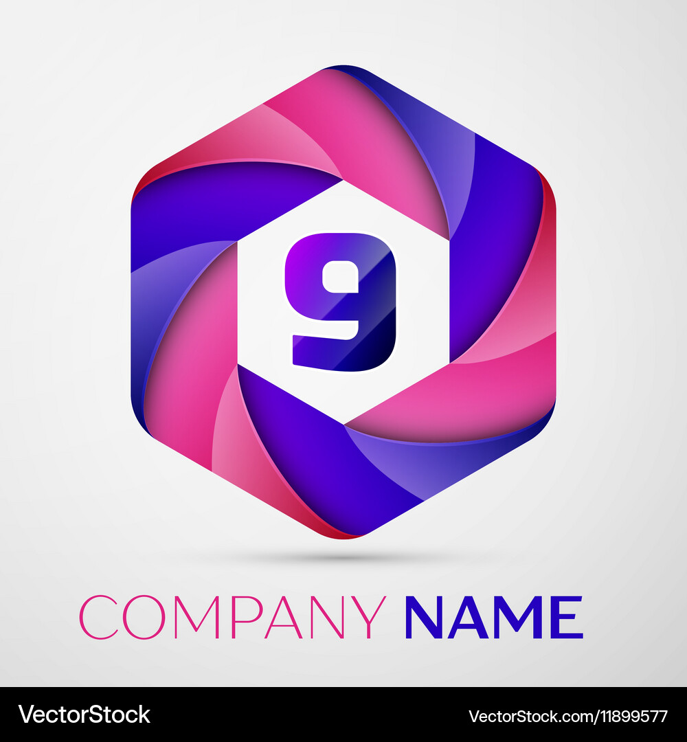 Nine number colorful logo in the hexagonal Vector Image