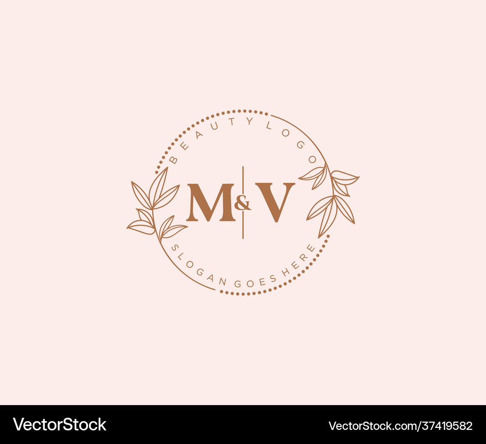Initial mv letters beautiful floral feminine Vector Image